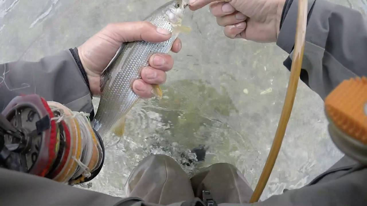 Bamboo Fly Rod Reproduction of Garrison 193 - YouTube