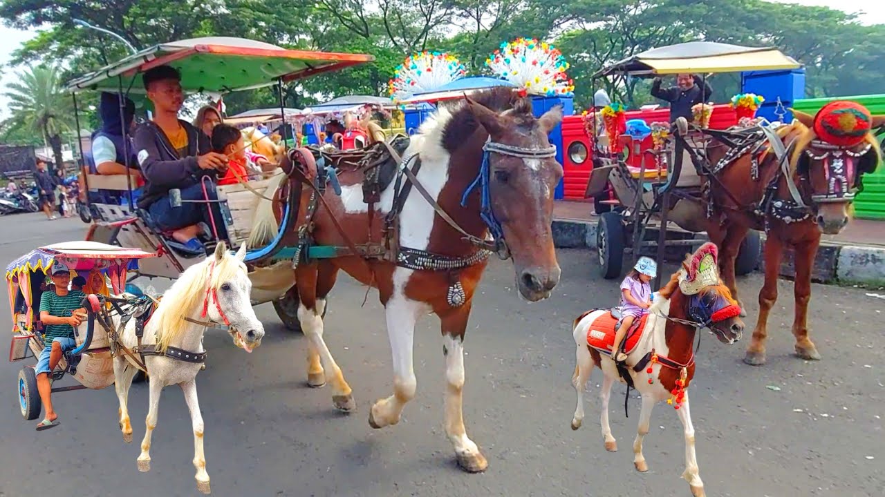 Kuda Delman Istimewa ~ Kuda ~ Naik Delman ~ Naik Kuda ~Lagu Kuda ~Lagu ...