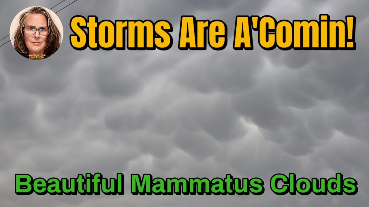 Buckle up! Storms A'comin'!! 🌪⚡️⛈️ - YouTube