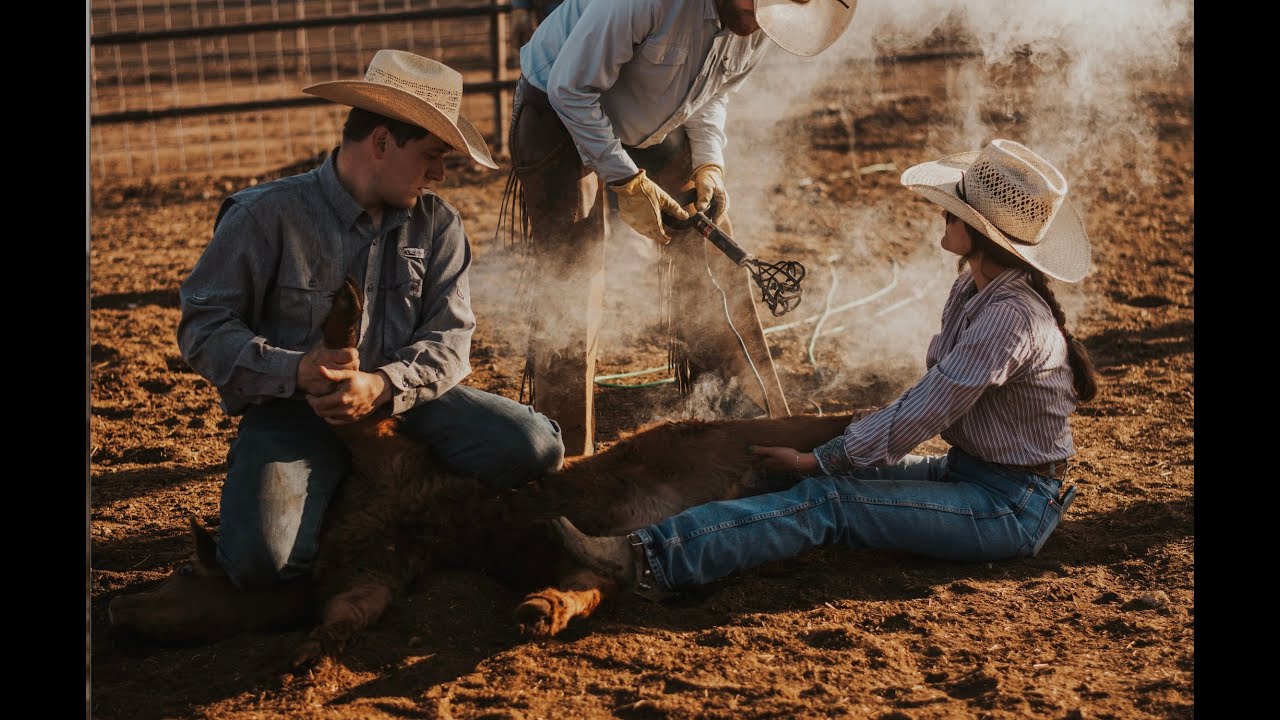 Texas Ranch Life: Branding Calves at the Legendary R.A. Brown Ranch ...