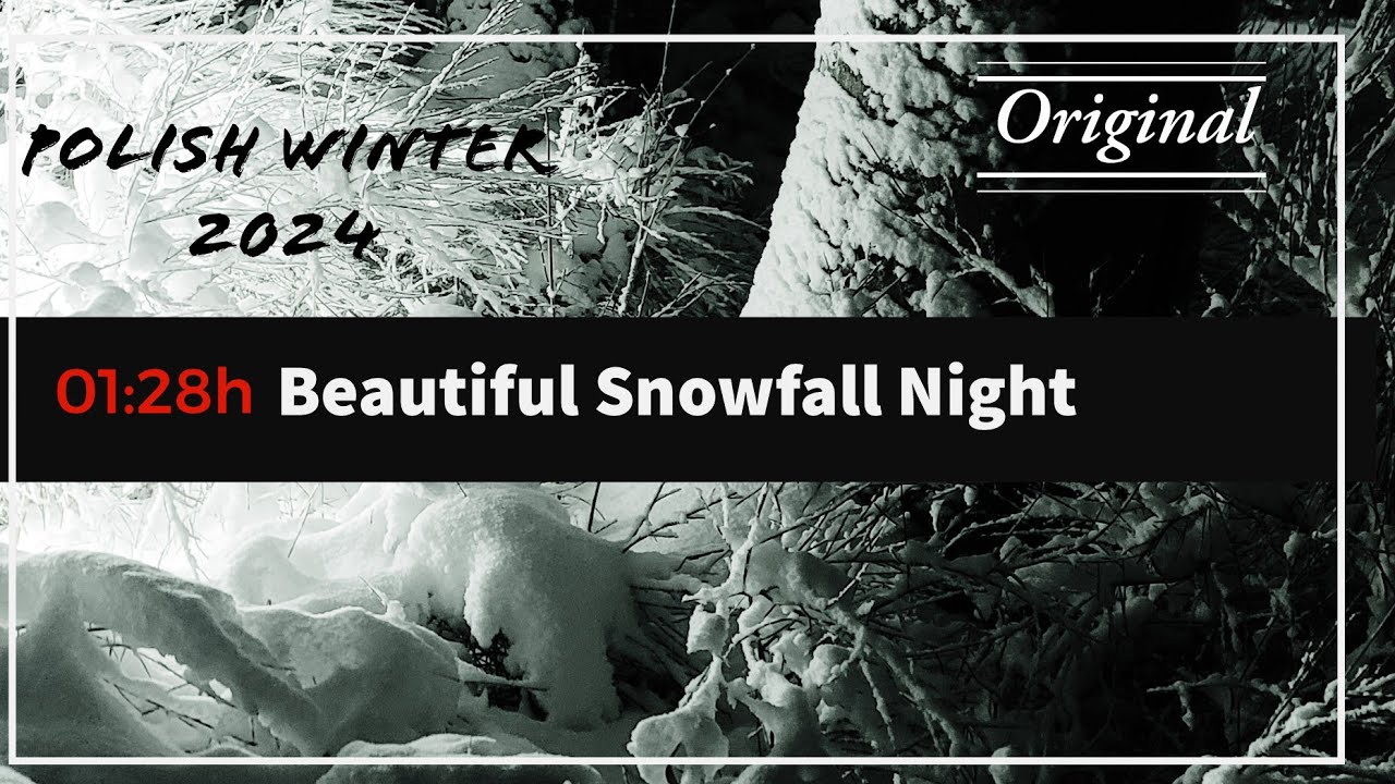 Snowfall night 1:28h. sound of light wind breeze & falling snow in ...