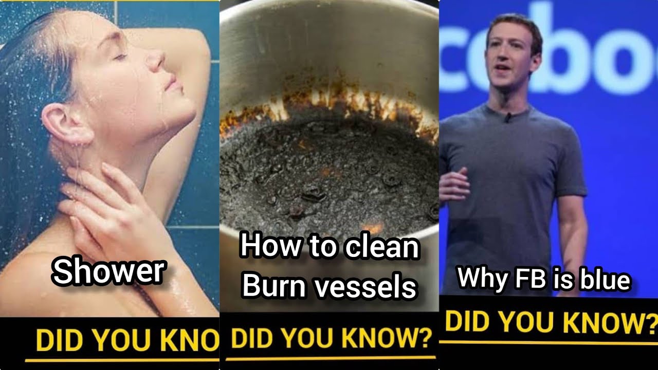 15 Unknown Facts DYK(DID YOU KNOW?) - YouTube