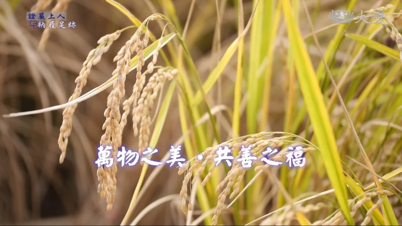 In the Footsteps of Venerable Master Cheng Yen - Living in Harmony with ...