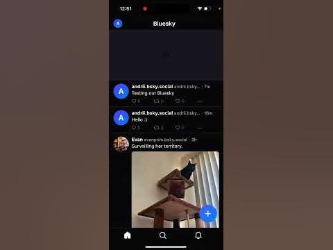 Bluesky Social - FULL OVERVIEW & HOW TO USE - YouTube