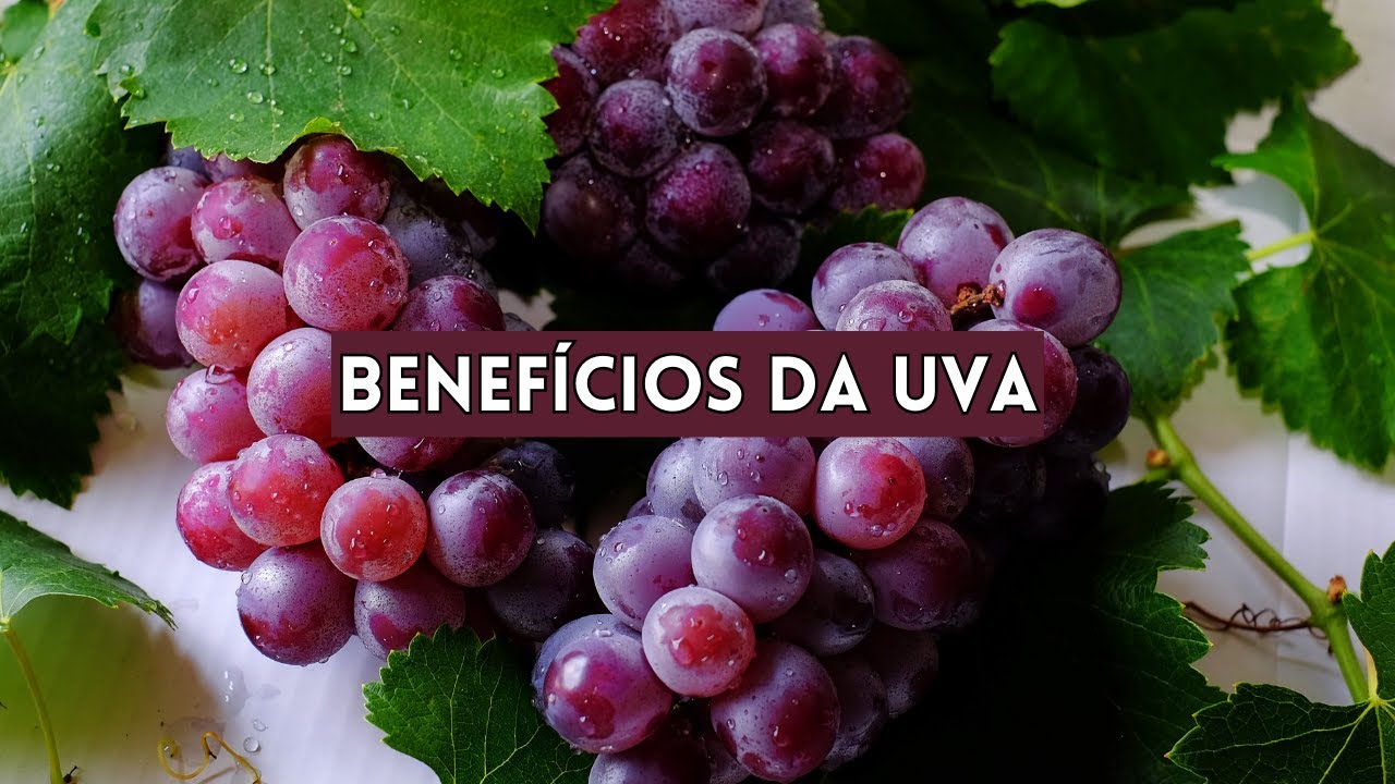 Benefícios da Uva Para a Saíde. 🍇 Quais Benefícios da Uva Verde e da ...