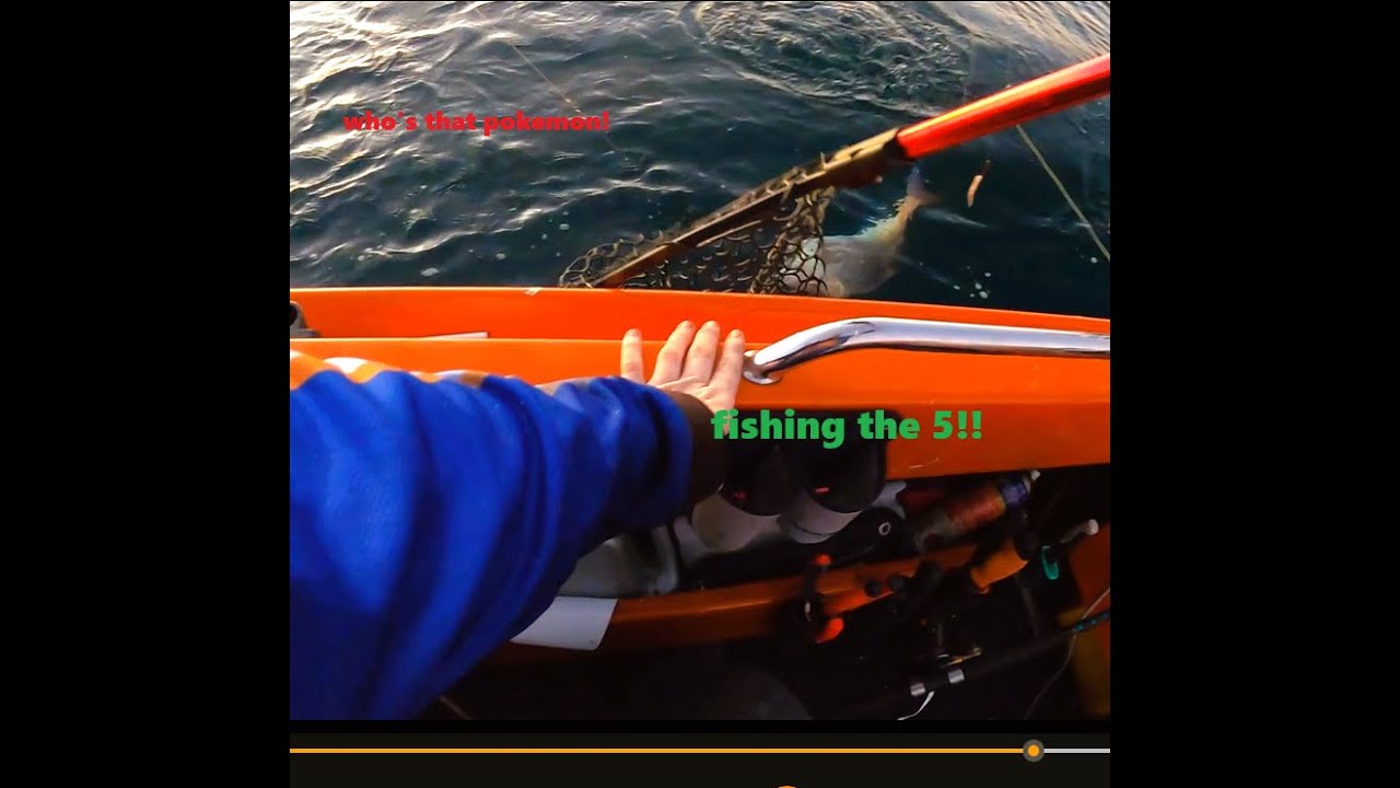 Fishing The 5 Fathom Bank Off Rockingham WA - YouTube