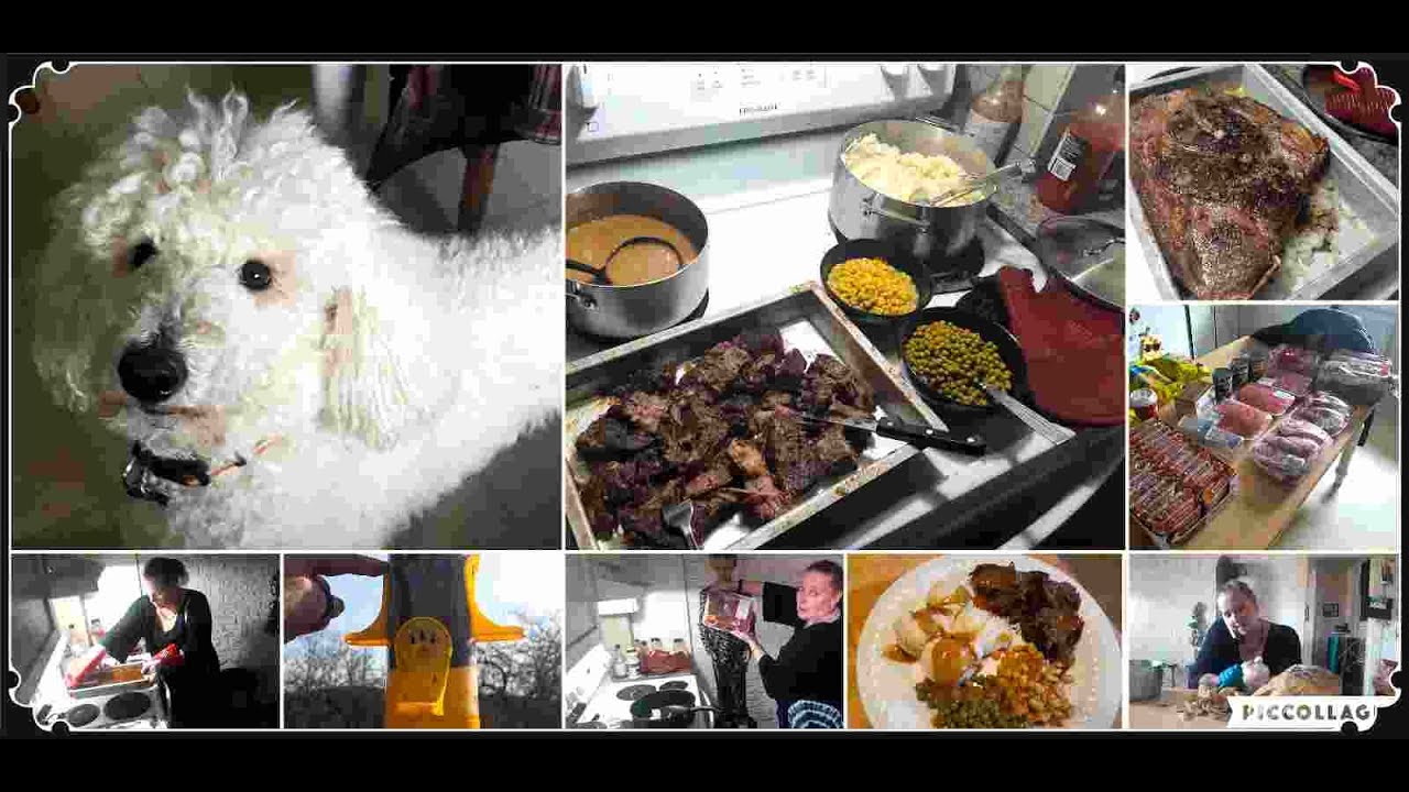 DITL: Flintstone Steak Din Din... Grocery Haul, Birdies & Chit Chat ...