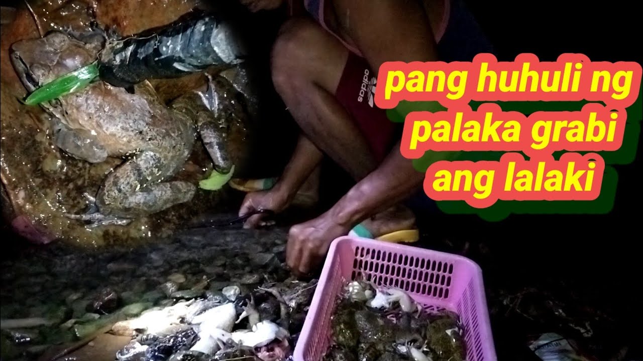 pang huhuli ng palaka sa gabi - YouTube