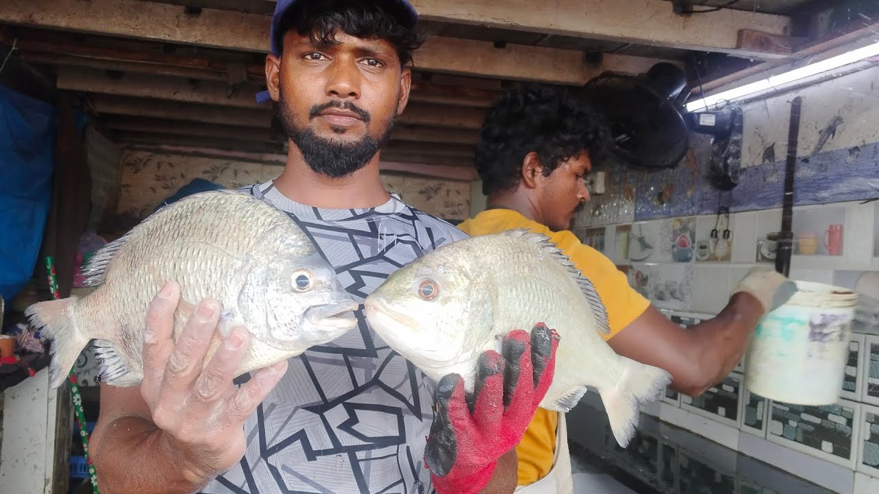 🔥🔥Mangalore Karnataka 🔥🔥🔥 yeri fish cutting fish market Bandar fish ...