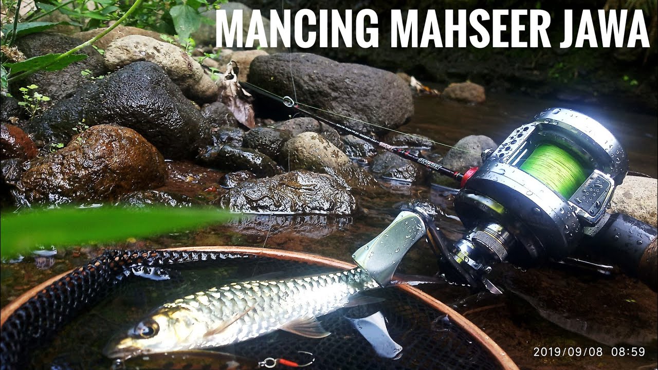 Mancing casting mahseer jawa by stream fishing tackle set - YouTube