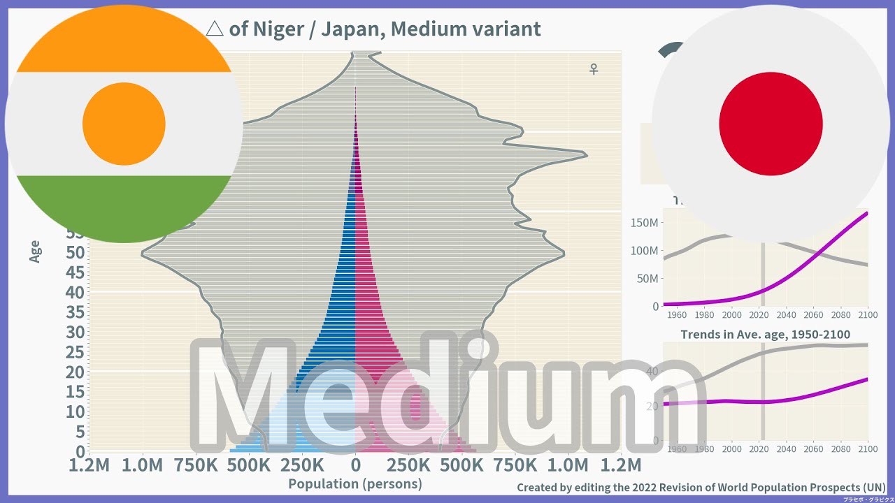 [🇳🇪Niger vs 🇯🇵Japan] Comparison of Population Pyramids (1950-2100 ...