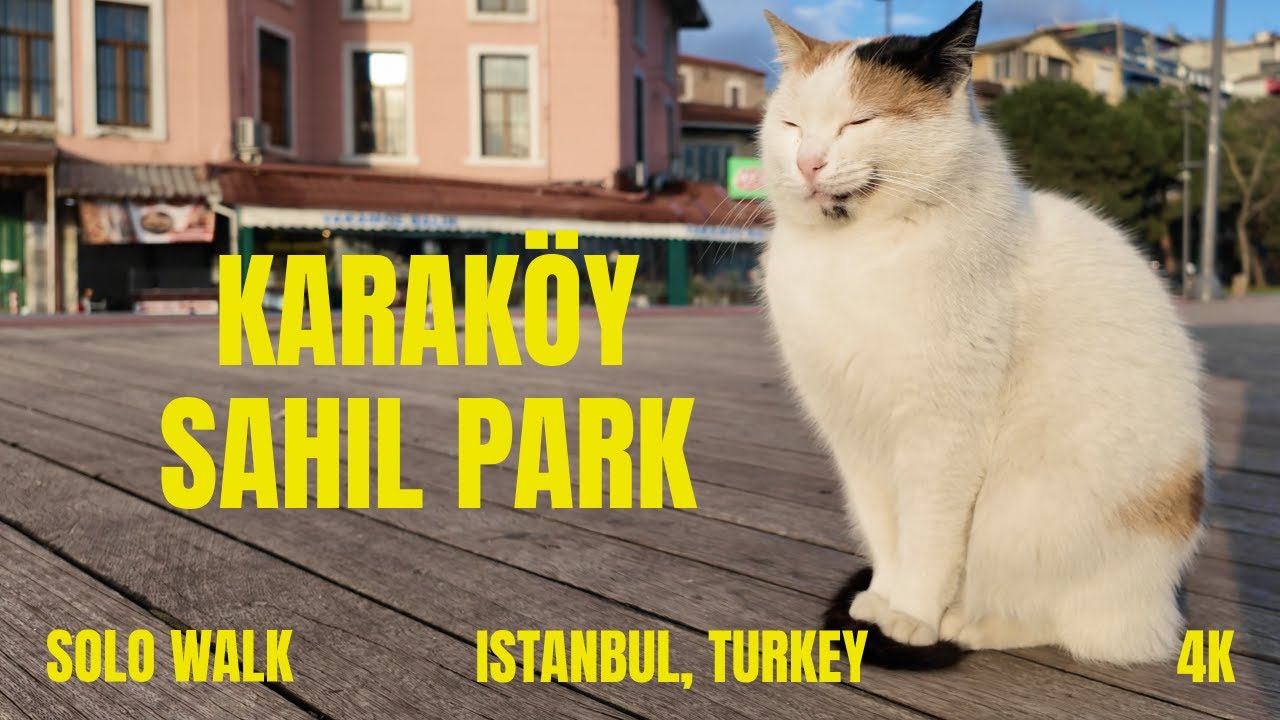 İBB Karaköy Sahil Parkı. Istanbul 2025, 4K HDR 60fps - Turkey - Walking ...