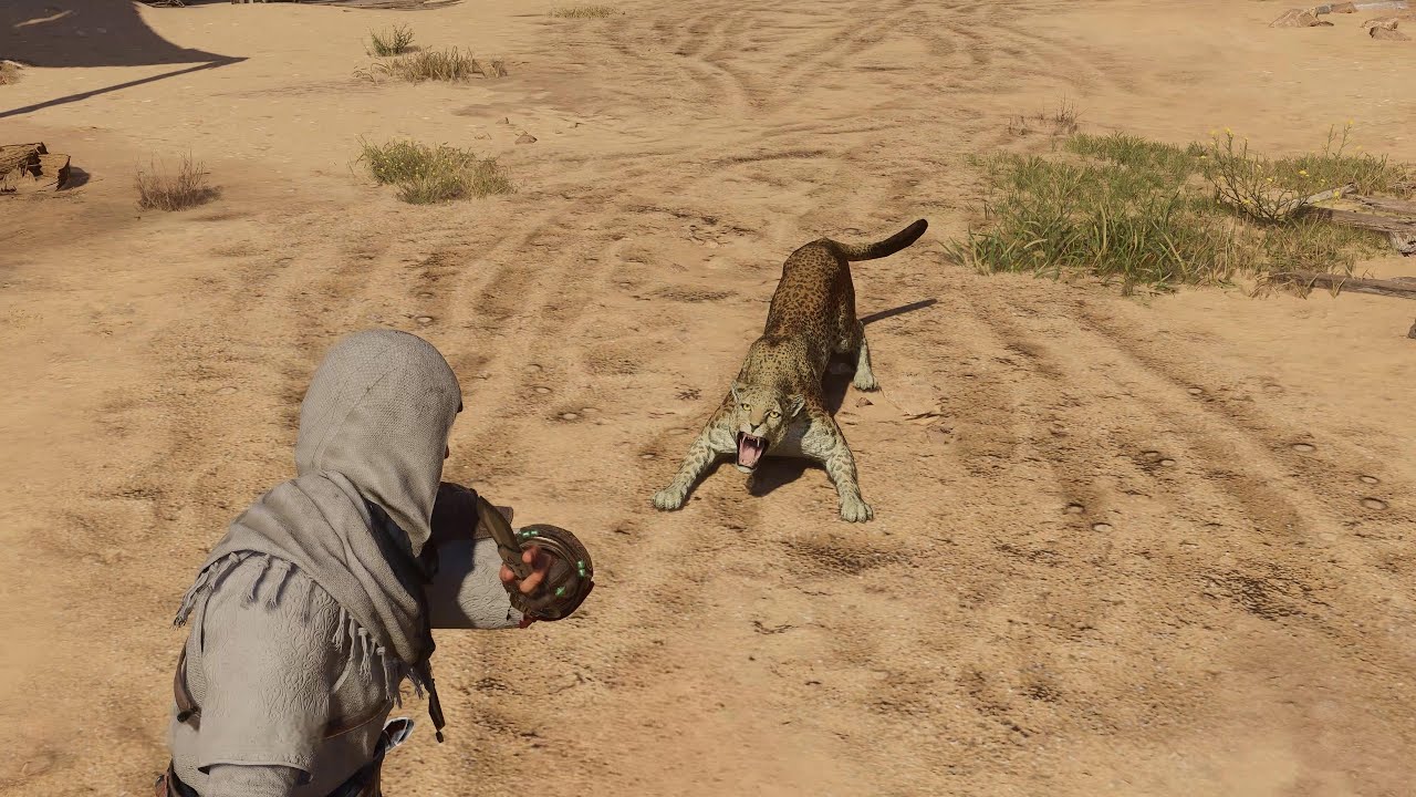 All Animals In Assassin's Creed Mirage [4K 60 FPS Max Settings] - YouTube