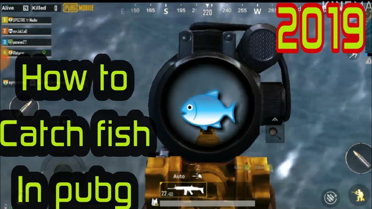 How to find fish in pubg ।। catch fish ।। 2019 - YouTube