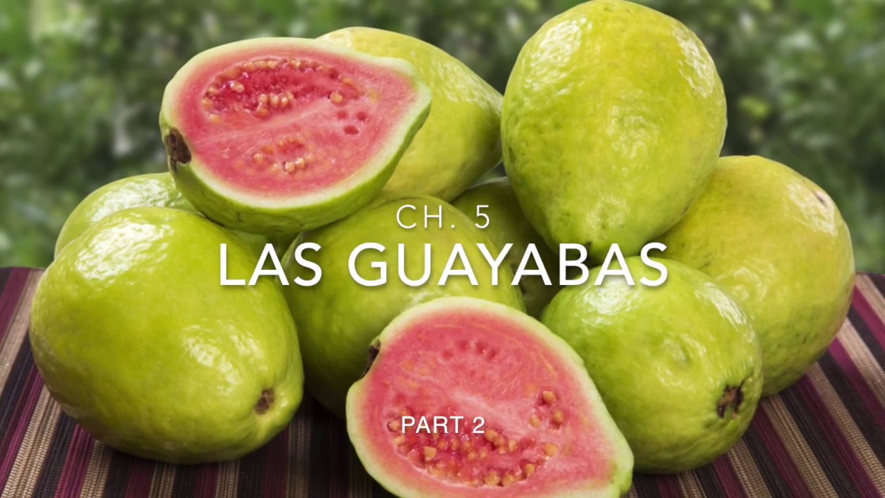 Esperanza Rising Las Guayabas Part 2 - YouTube