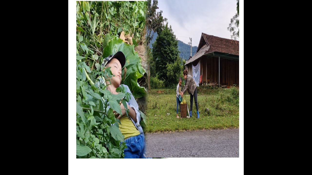 An orphan boy fainted in the forest and was fortunately rescued and ...