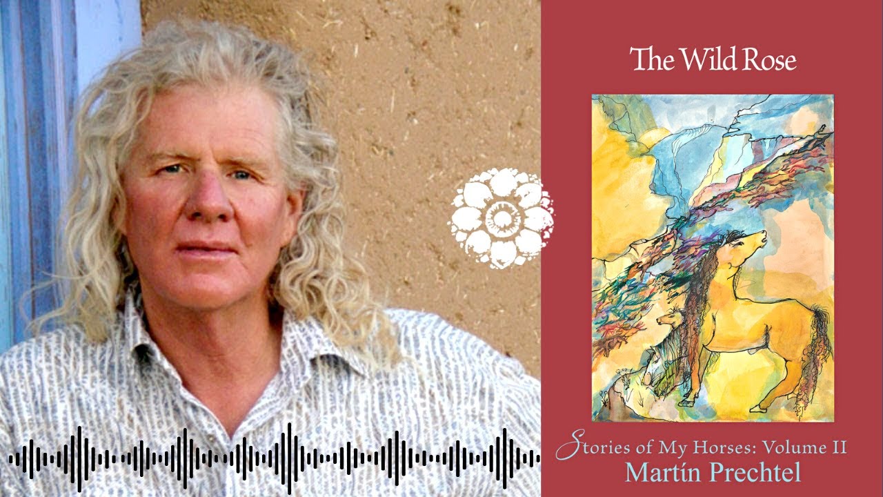 Martín Prechtel ~ The Wild Rose (Interview 3/4) | Audio Interview with ...