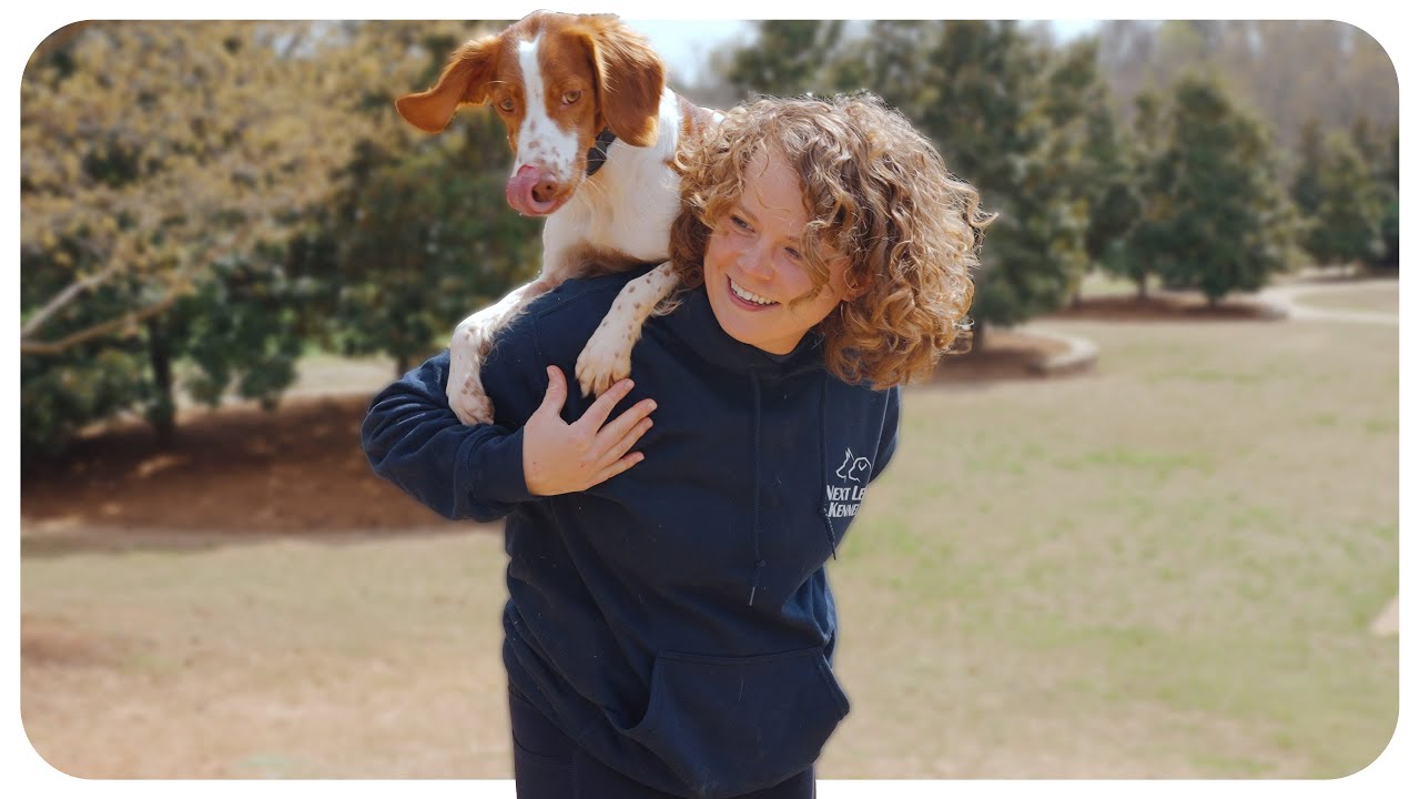 Meet MALLEY! - Malley's Cool Tricks - Next Level Kennels - YouTube