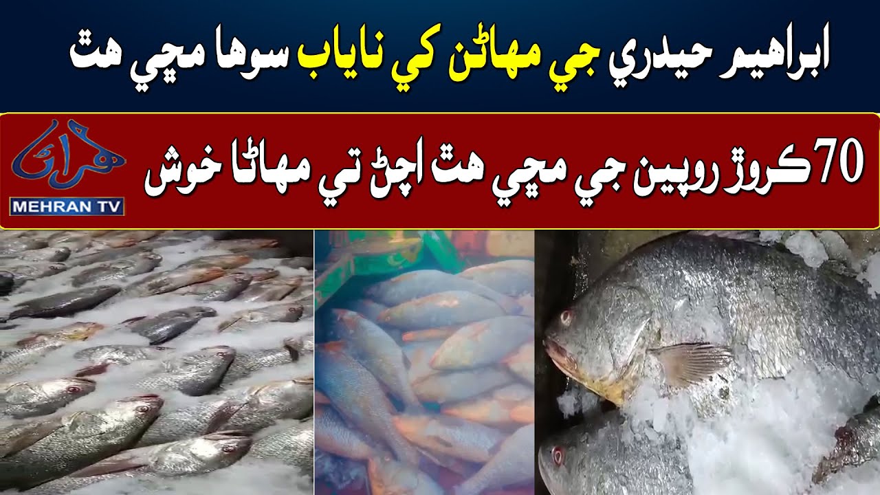 The fishermen of Ibrahim Haidari caght a rare Soha fish || Mehran tv ...