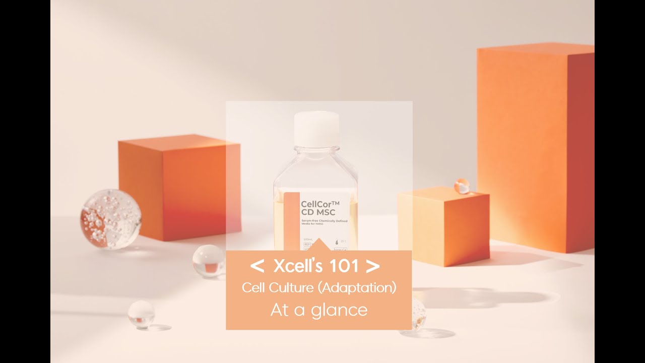 XCELL CellCor CD MSC Cell Adaptation EN - YouTube