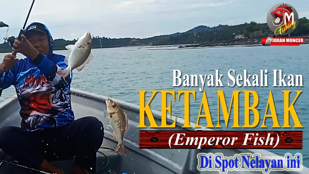Banyak sekali IKAN KETAMBAK || Emperor Fish Di Spot Nelayan ini - YouTube