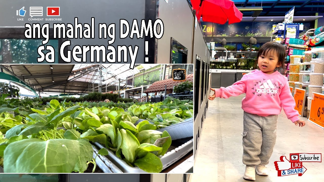 Ang mahal ng DAMO sa Germany !!! #viral #amazing #germany #family # ...