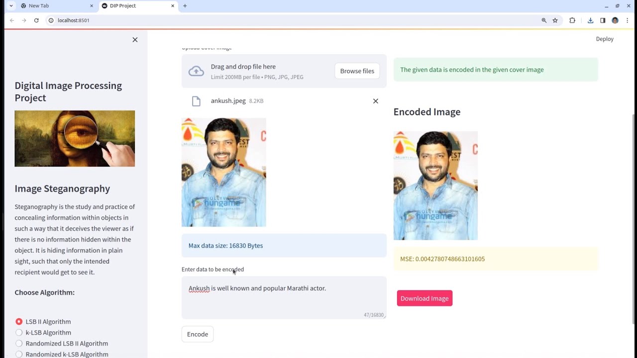 Python Image Steganography Using Streamlit App Youtube