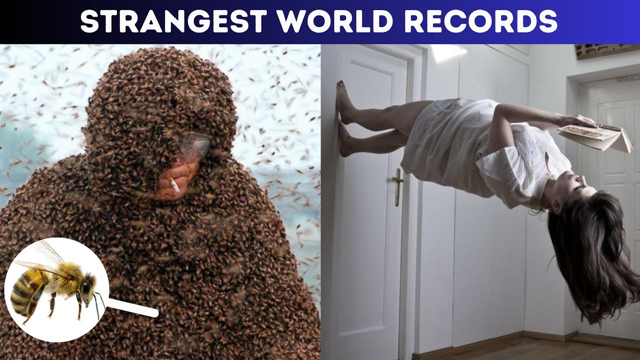 most strangest record numbers in guinness, craziest guinness numbers ...