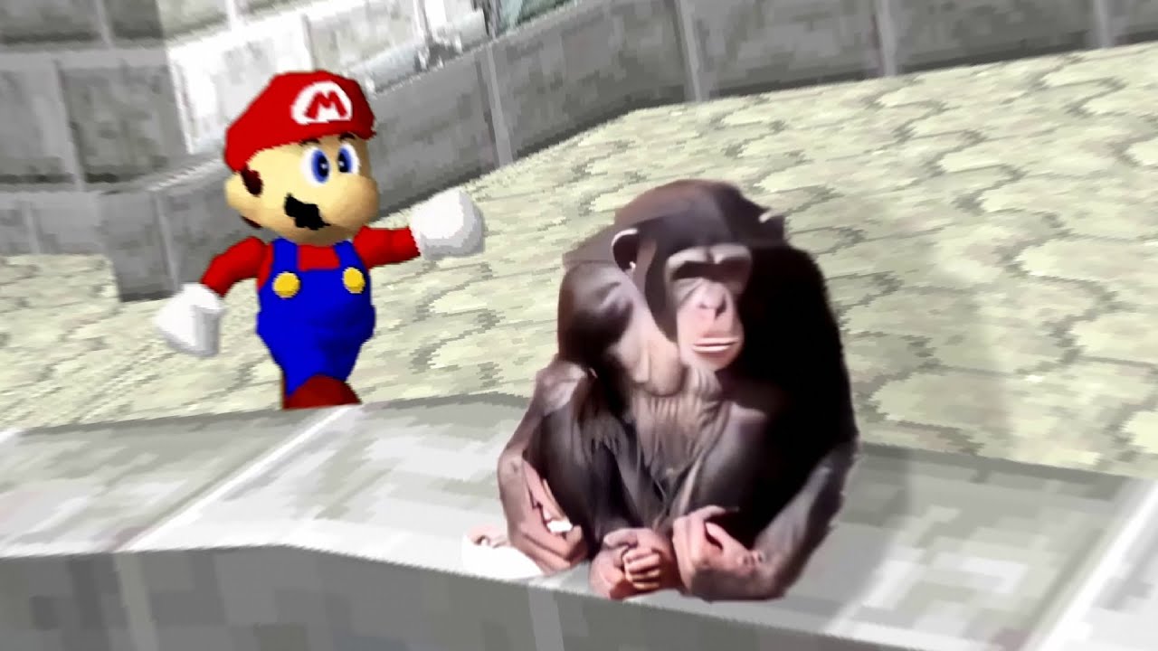 Haha look at this monke - YouTube
