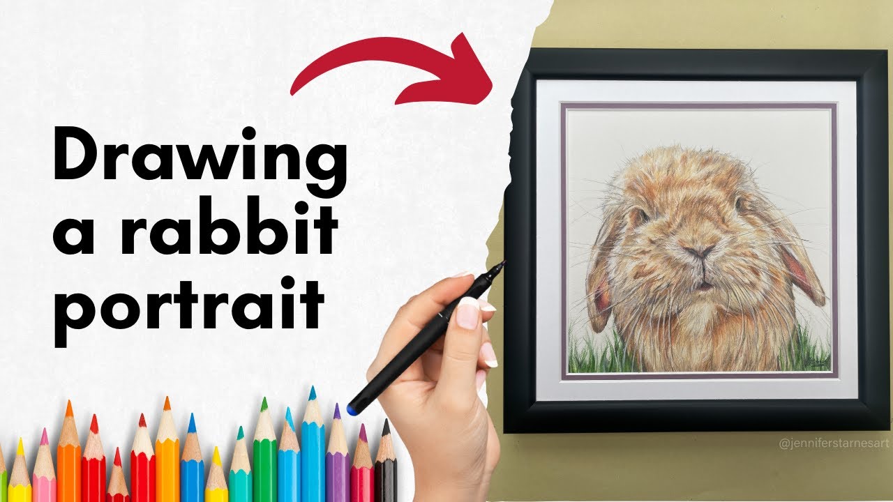 Life-like drawing of a rabbit in coloured pencil (timelapse) - YouTube