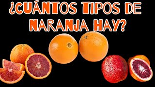 Lo que no sabías de las naranjas