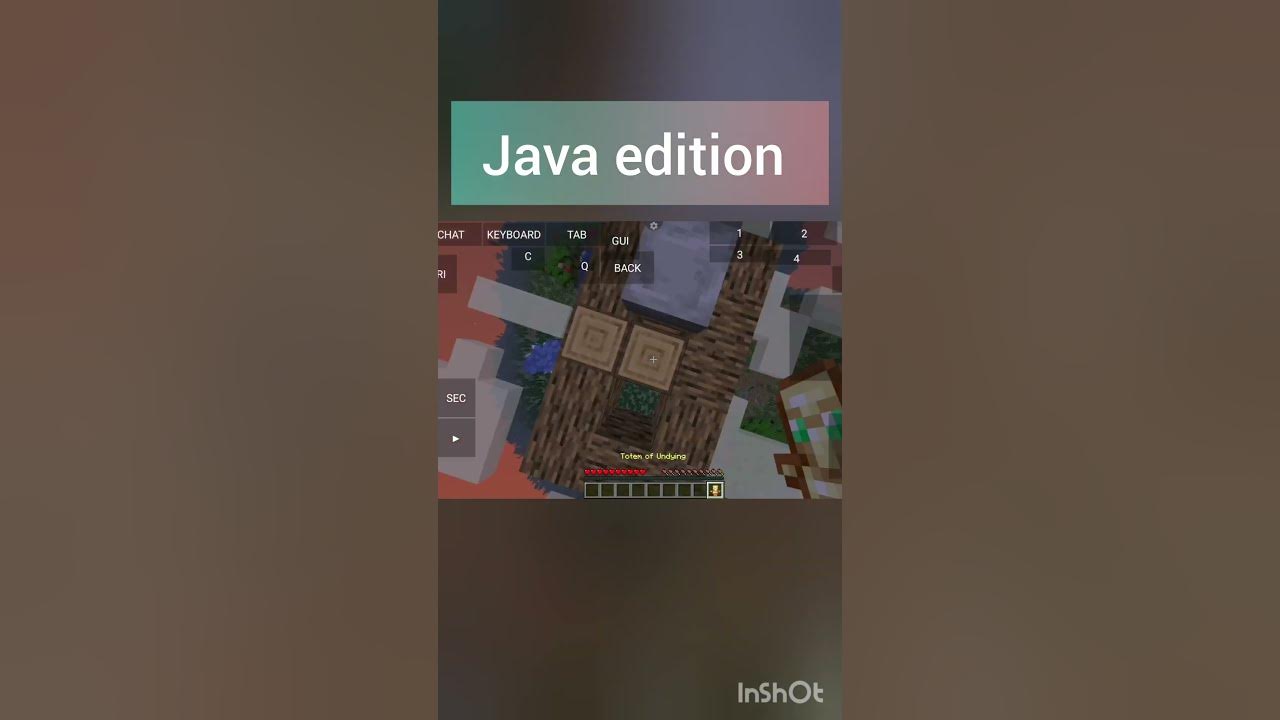 Minecraft Java edition versus pocket edition totam test 😅 #minecraft # ...