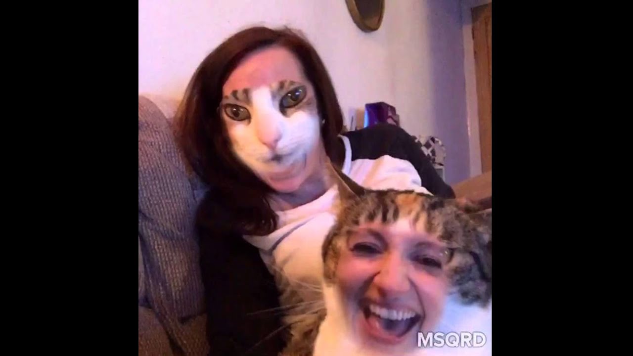 Pet cat face swap ( very funny !!!) - YouTube