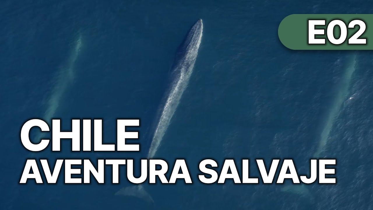 Chile - Un Viaje Salvaje - EP 2 | La Reina de los Océanos - YouTube