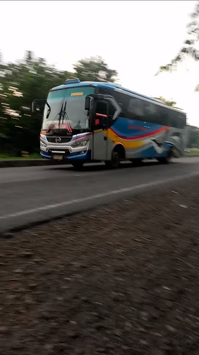 Lumba lumba darat ll Sugeng Rahayu #bus #shorts #youtubeshorts #busmania #sugengrahayu #busrestu ...