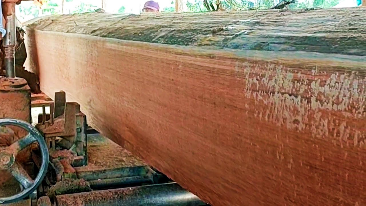 menggergaji kayu Meranti batu merah super besar #bandsaw - YouTube