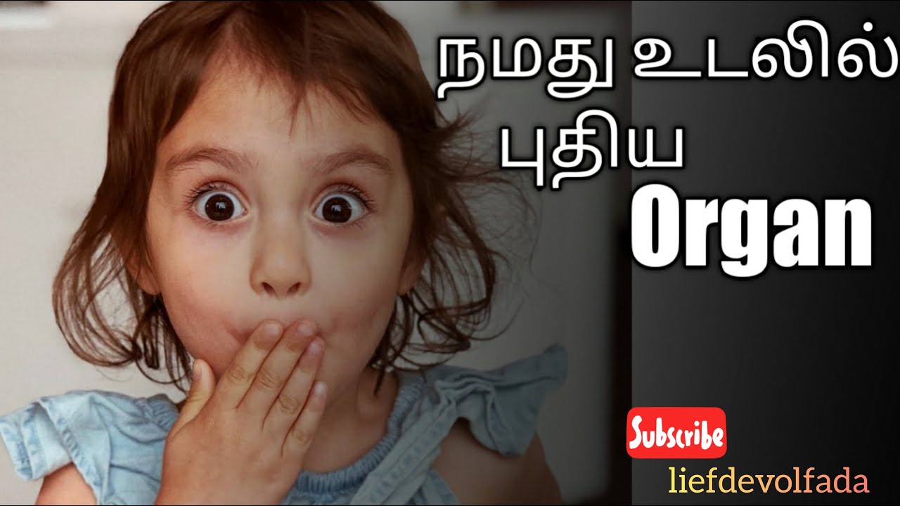 New organ found in human body | Organ | Interstitium | - YouTube
