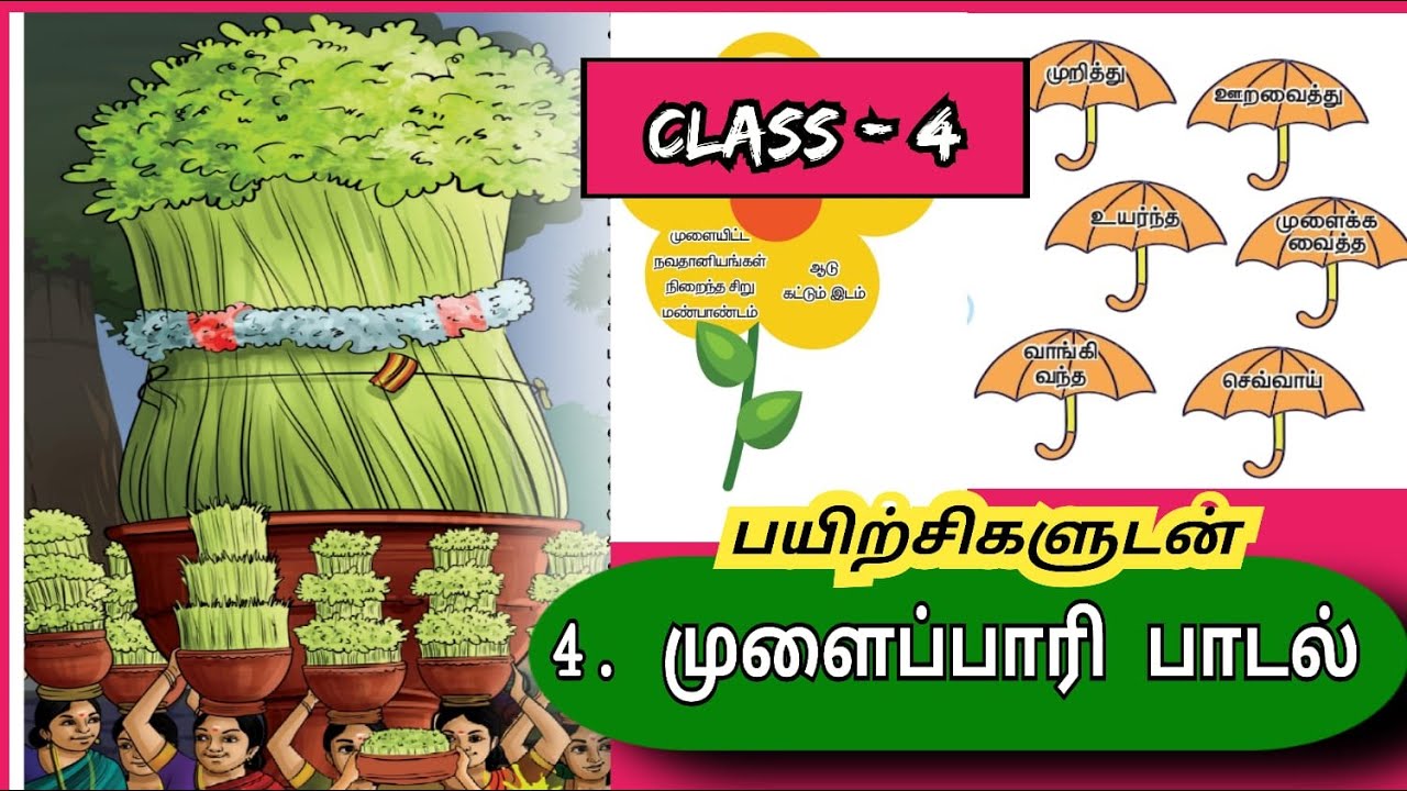 Class 4 |Ln- 4 | Mulaipari Paadal | முளைப்பாரி பாடல் | Alpha Classroom ...
