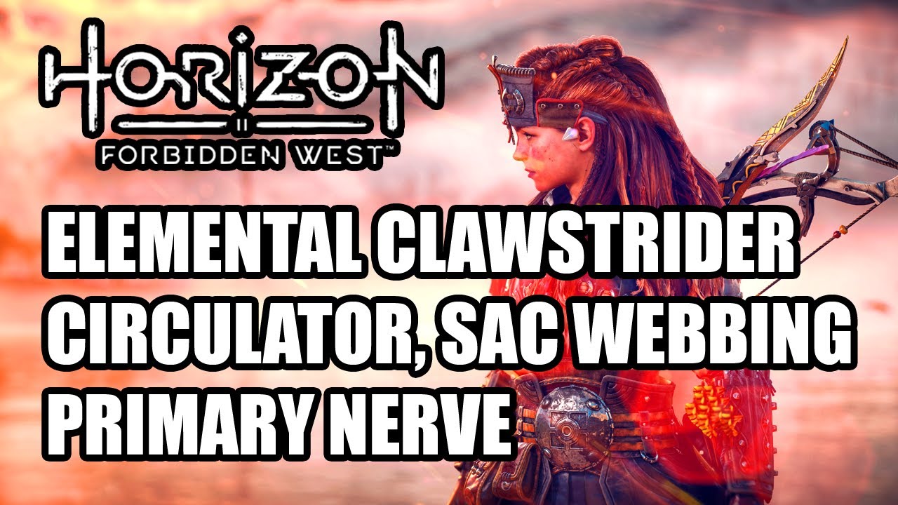 Elemental Clawstrider Location (Circulator, Sac Webbing, Primary Nerve ...