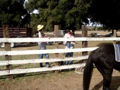 Herrando el Ganado - YouTube