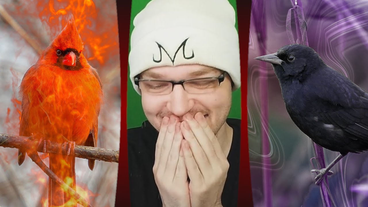 Let's Watch DEATH BATTLE | Phoenix VS Raven - YouTube