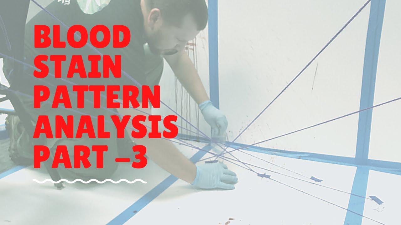 Blood Stain Pattern Analysis Part 3 YouTube blood-stain-pattern-analysis-part-3-youtube