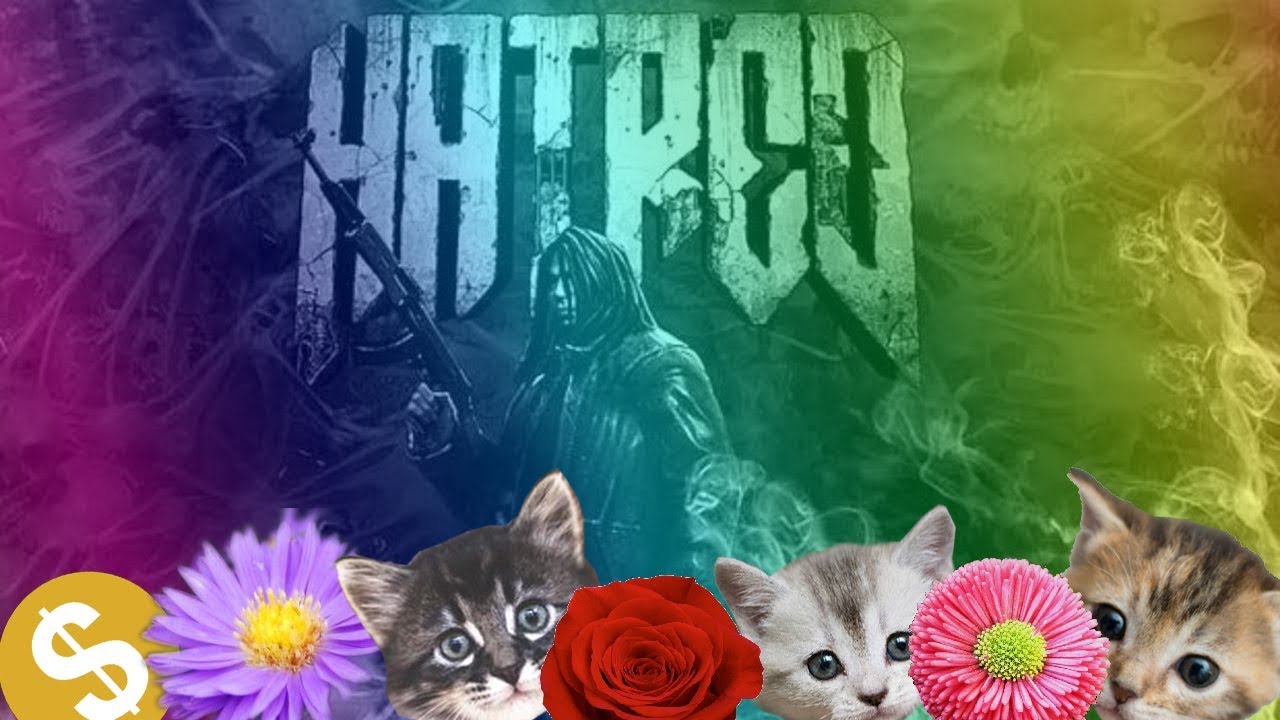SUNSHINE AND KITTENS - YouTube