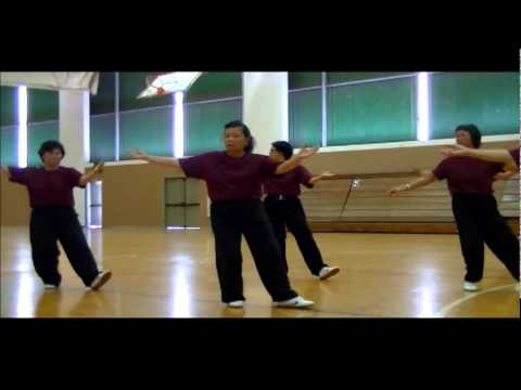 Yang's Taijiquan 40-Form - YouTube