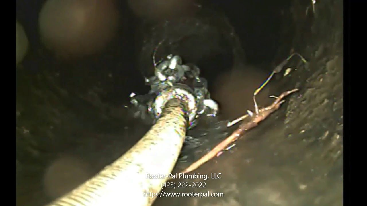 Rooter-Pal plumbing, LLC root cleaning - YouTube