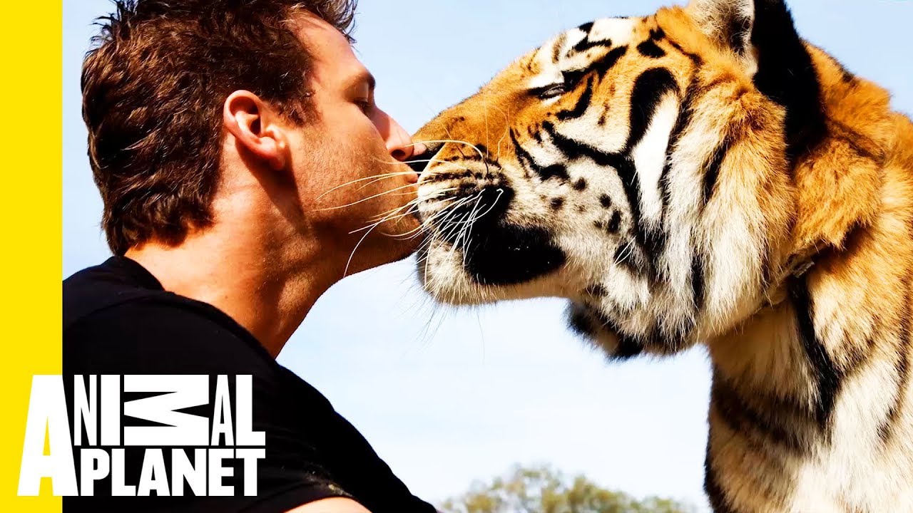 The Best Ways To Take Selfies With Animals! - YouTube