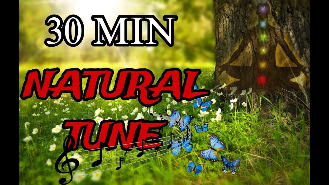 30 Min Natural Tune for Meditation - YouTube