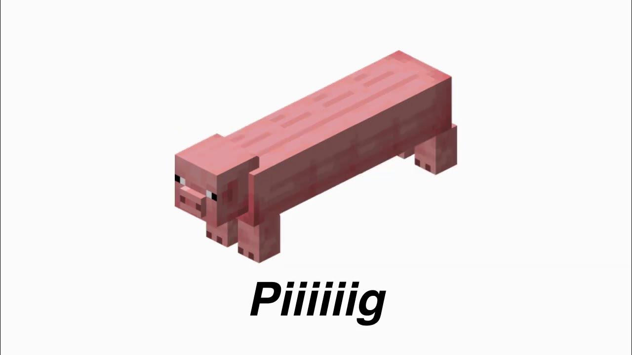 the various types of pigs in minecraft - YouTube
