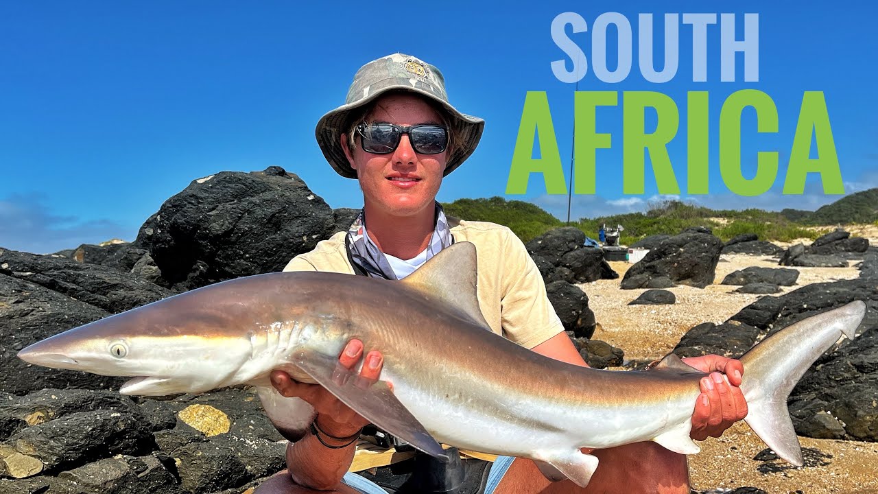 Shark Fishing off the Rocks in South Africa 🇿🇦 - YouTube