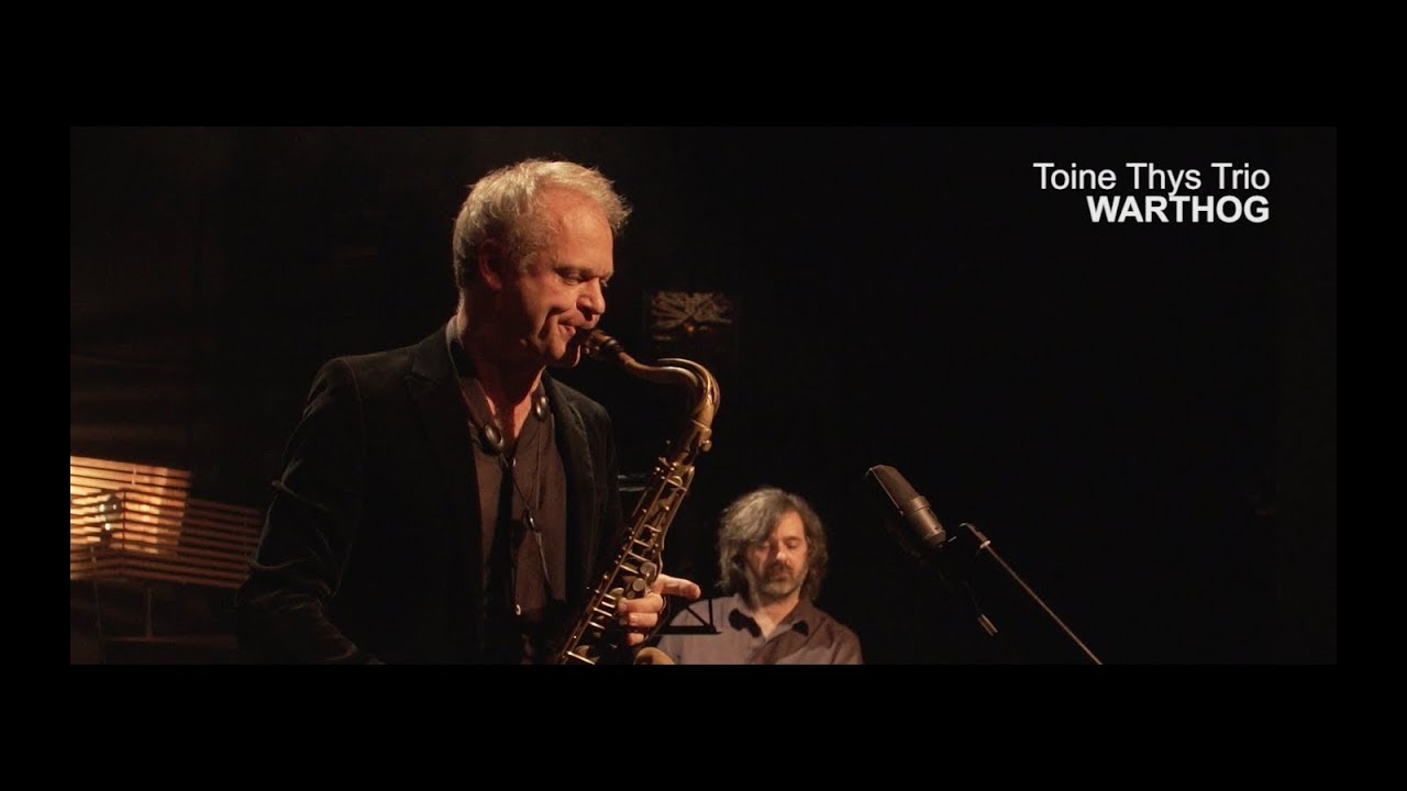 WARTHOG by the TOINE THYS TRIO feat. Hervé Samb & Sam Yahel - YouTube
